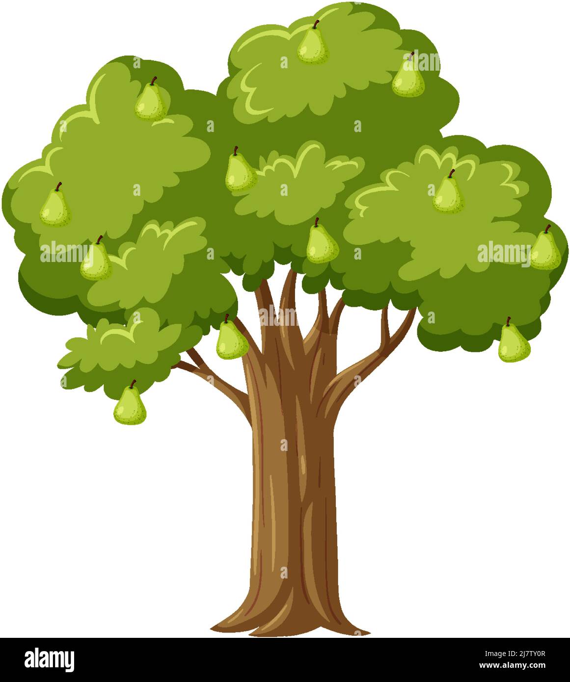 Pear tree clipart Stock Vector Images - Alamy