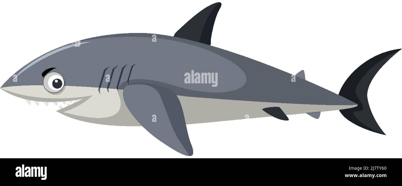 Cute shark cartoon character isolated illustration Stock Vector Image ...
