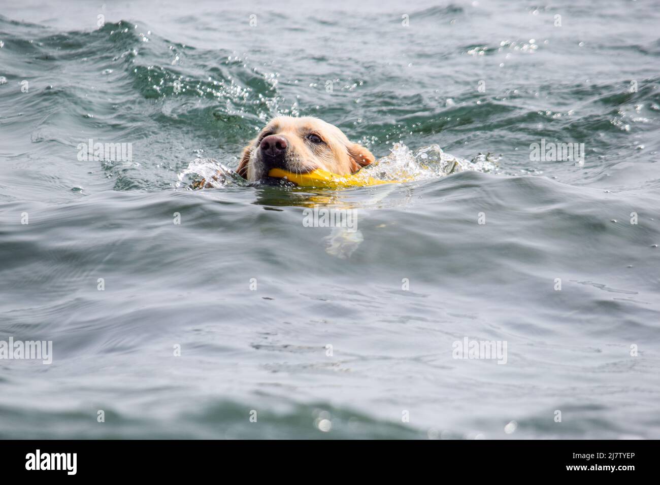 Vault Beach 290422 Stock Photo - Alamy