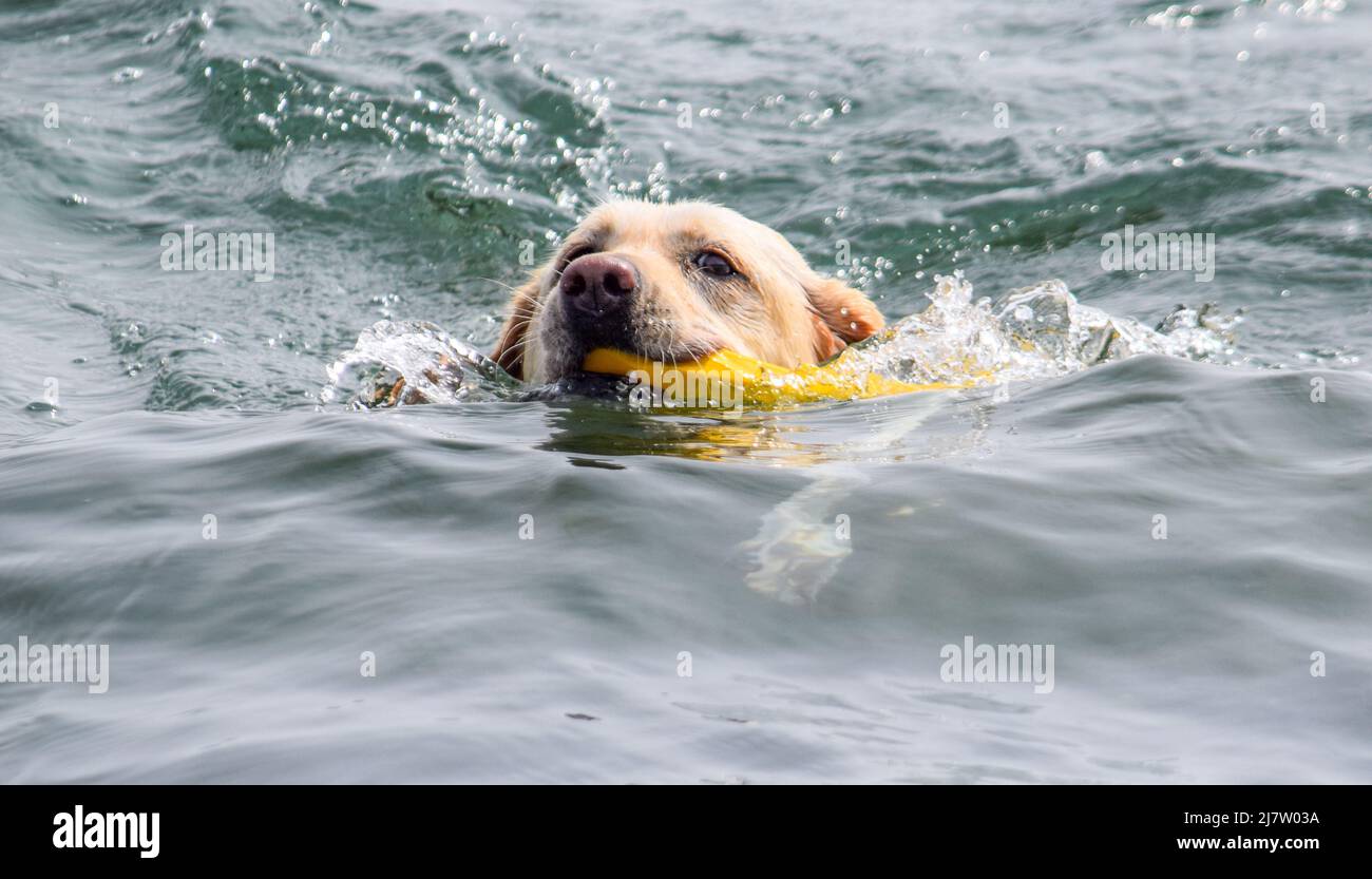 Vault Beach 290422 Stock Photo - Alamy