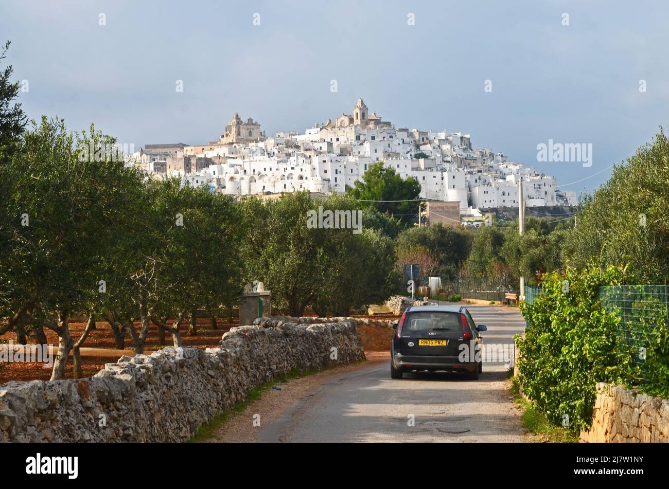 Ostuni olive tree hi-res stock photography and images - Alamy