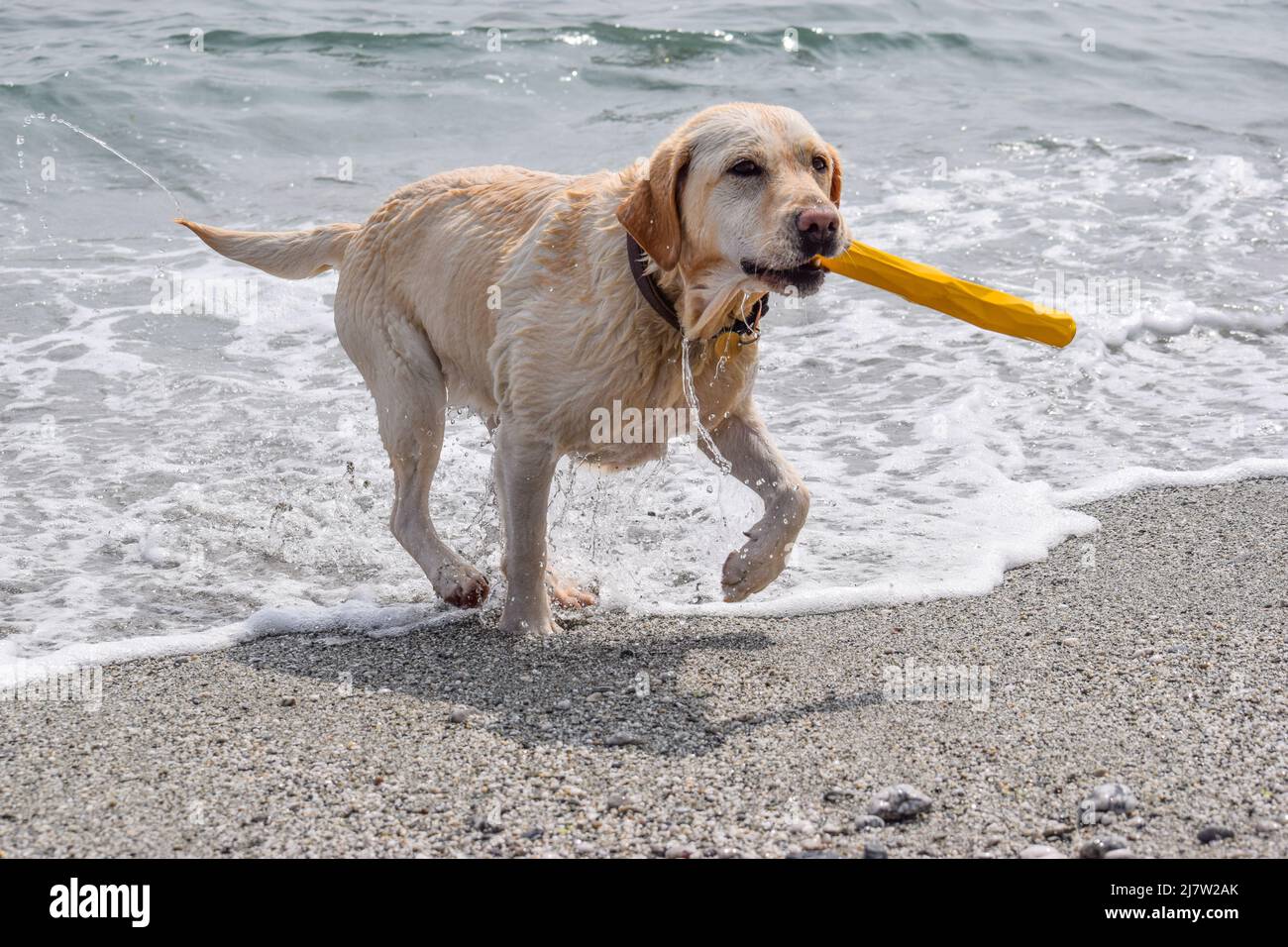 Vault Beach 290422 Stock Photo - Alamy