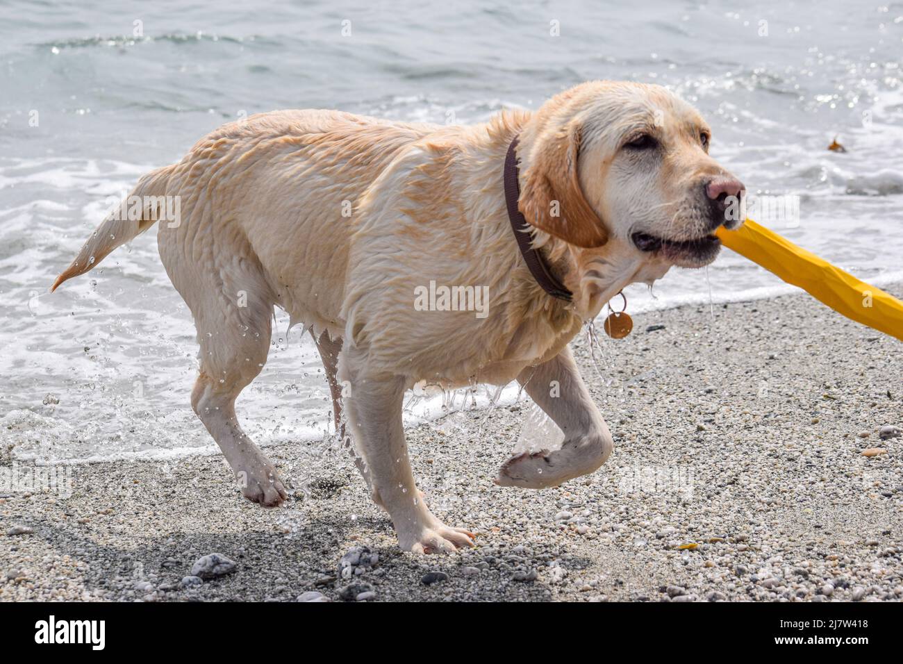 Vault Beach 290422 Stock Photo - Alamy