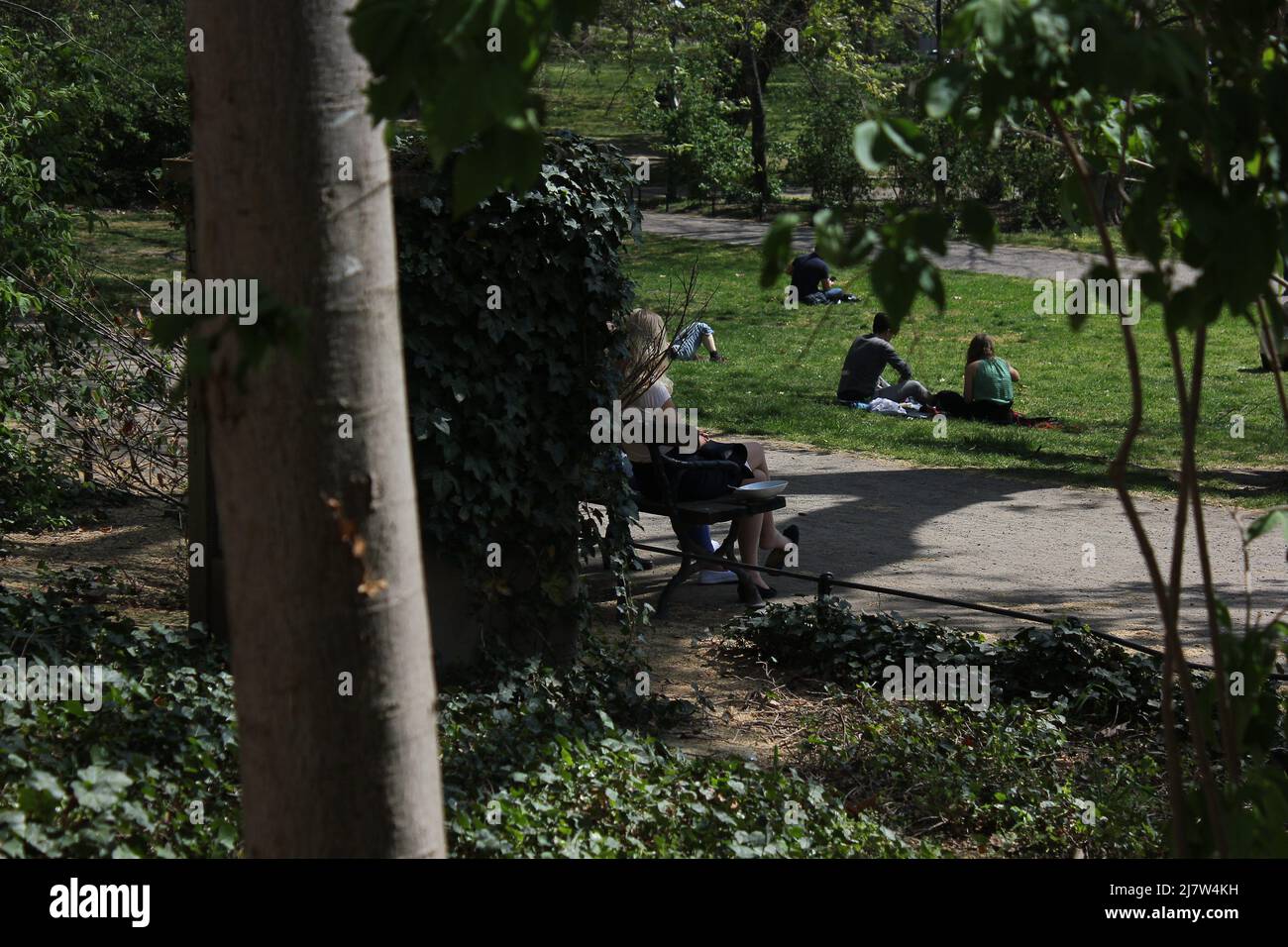 parc on a sunny day Stock Photo - Alamy