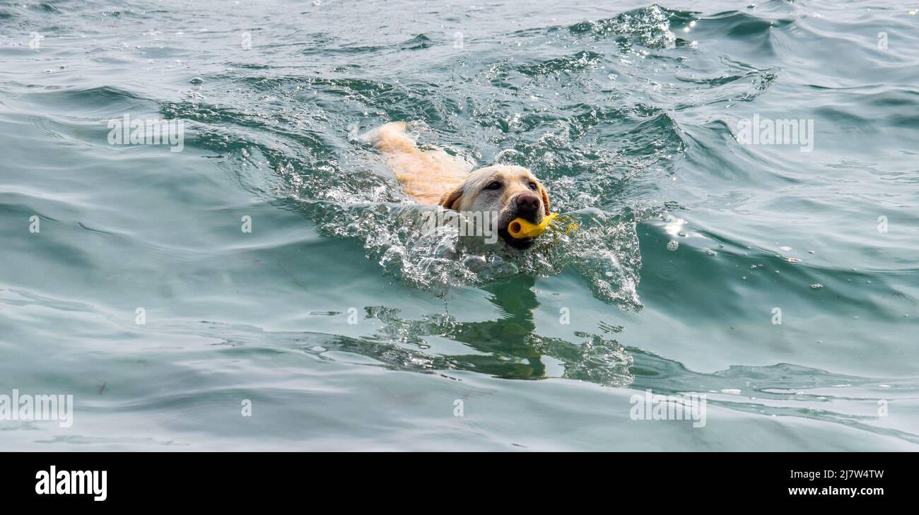 Vault Beach 290422 Stock Photo - Alamy