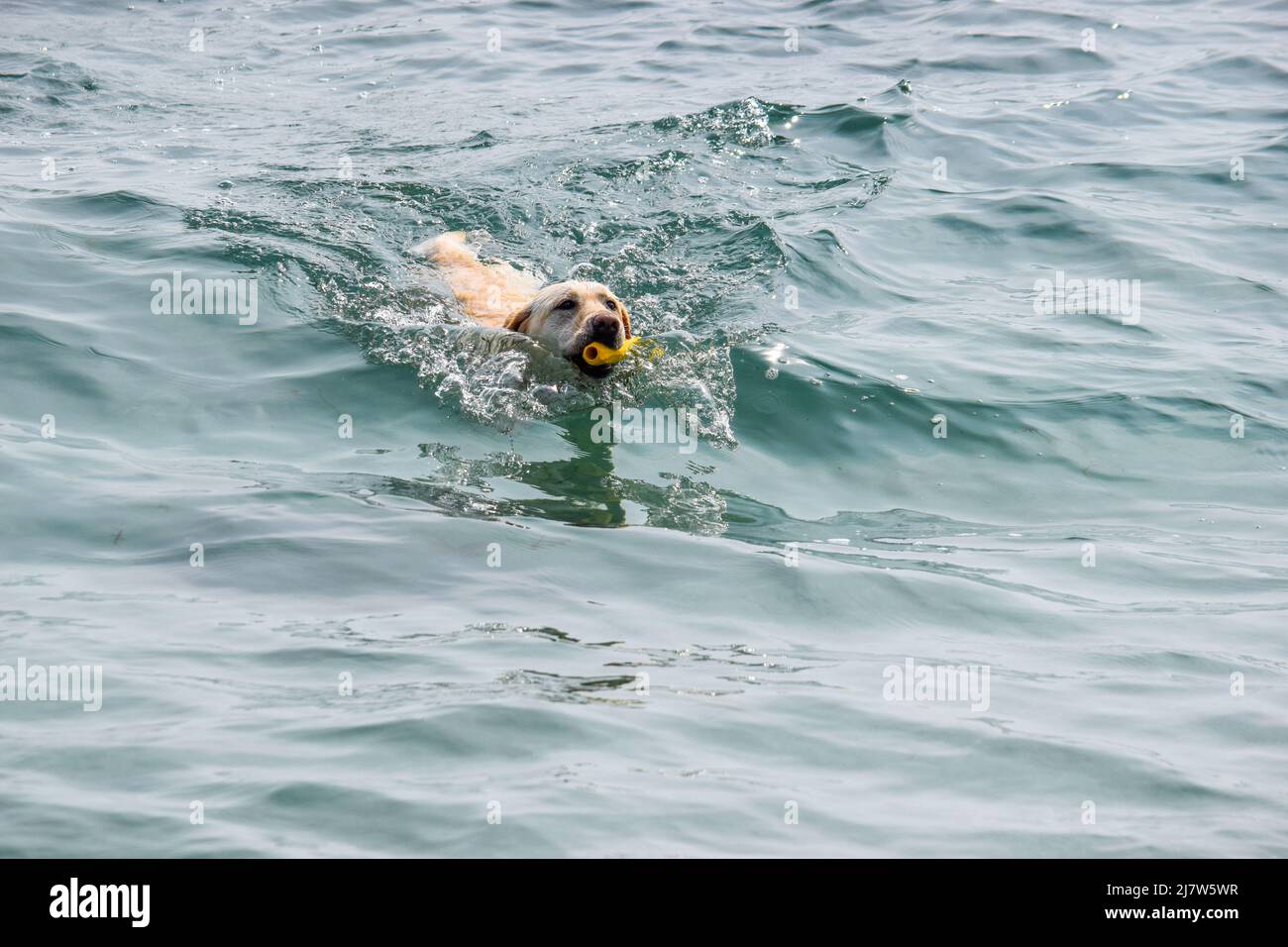 Vault Beach 290422 Stock Photo - Alamy