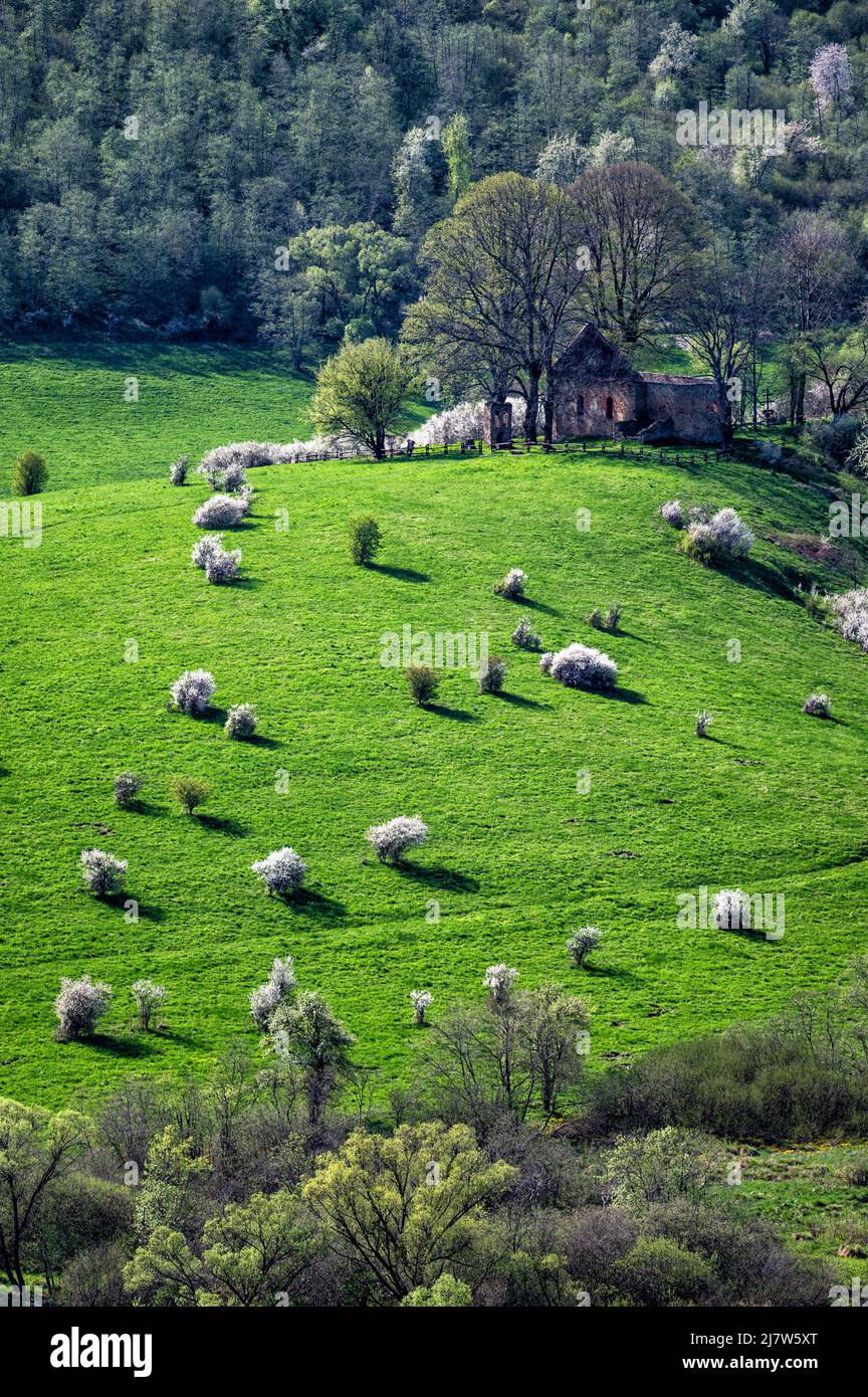Nature bursts of spring colors. The village of Krywe, Bieszczady ...