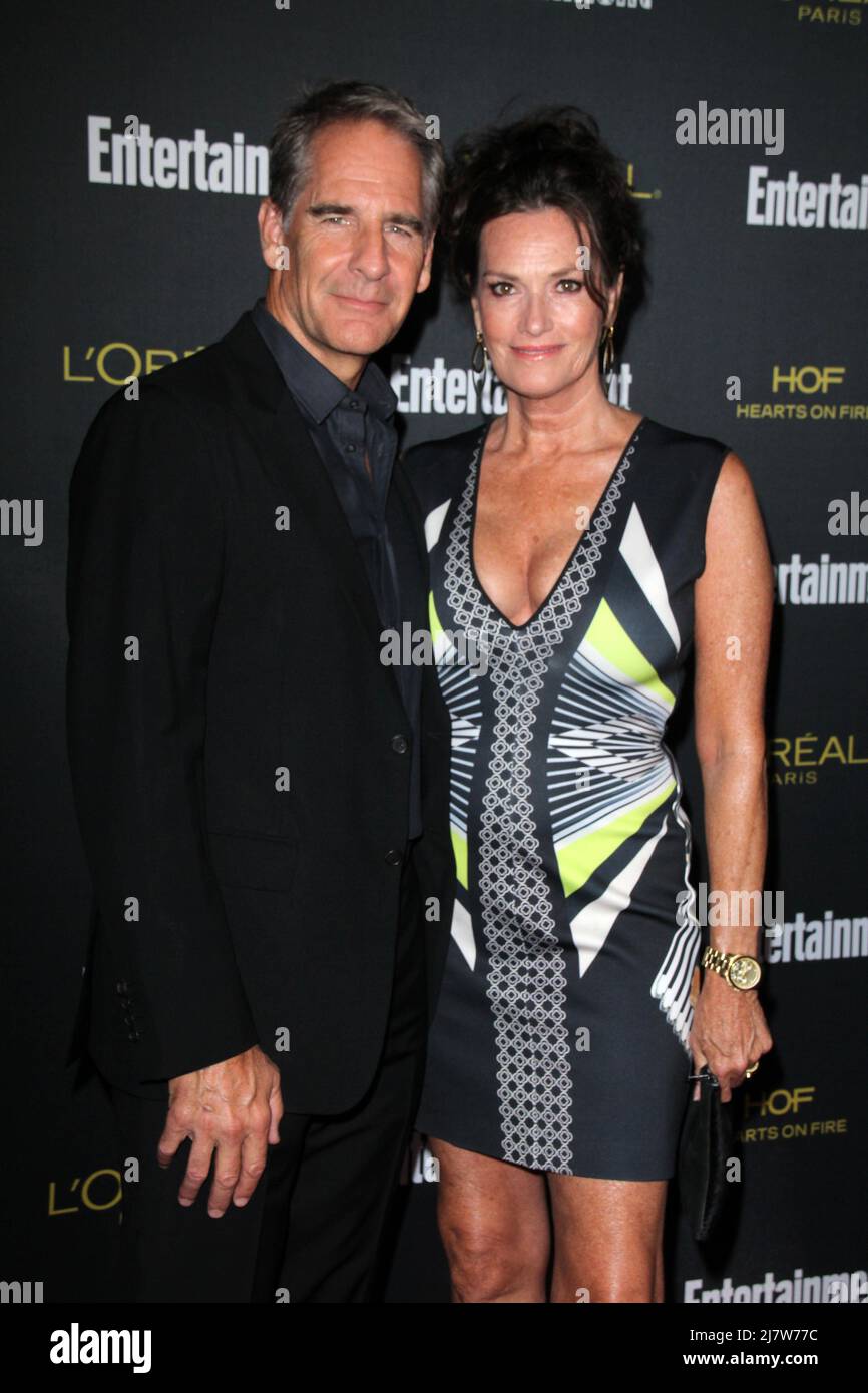 LOS ANGELES - AUG 23: Scott Bakula, Chelsea Field at the 2014 ...