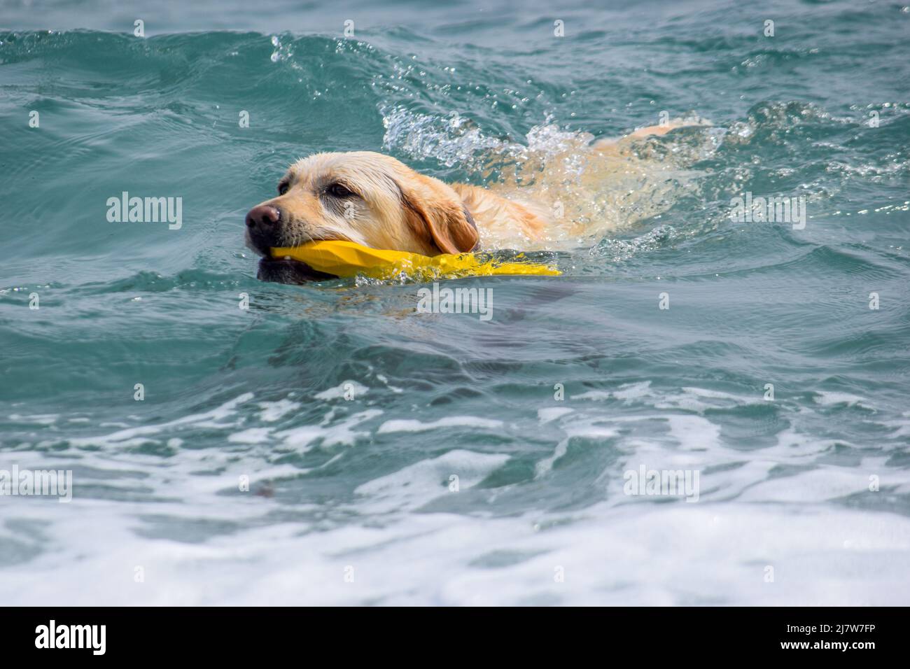 Vault Beach 290422 Stock Photo - Alamy