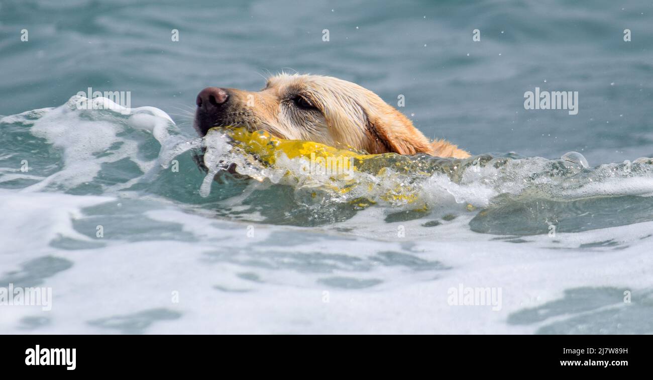 Vault Beach 290422 Stock Photo - Alamy