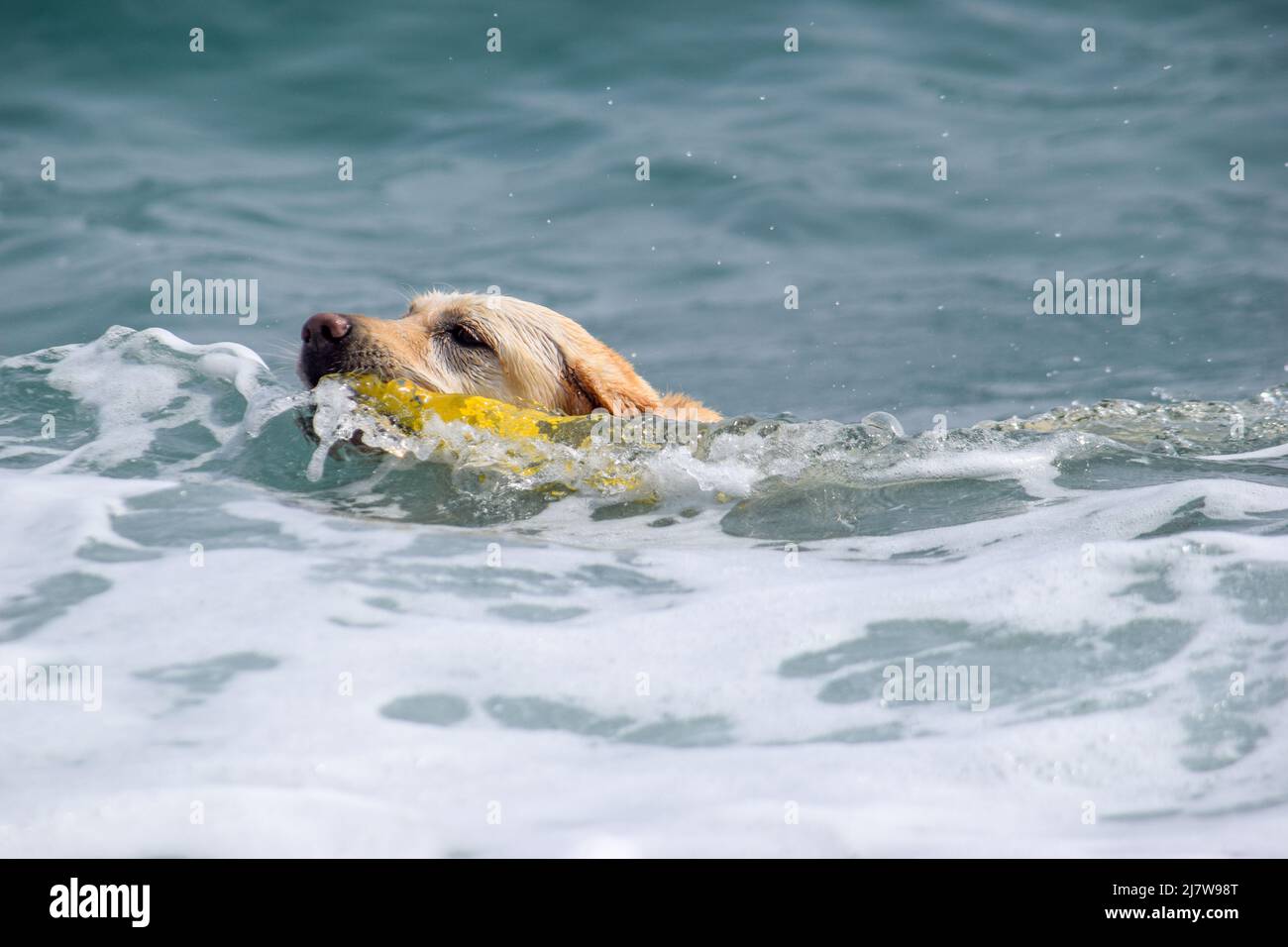 Vault Beach 290422 Stock Photo - Alamy