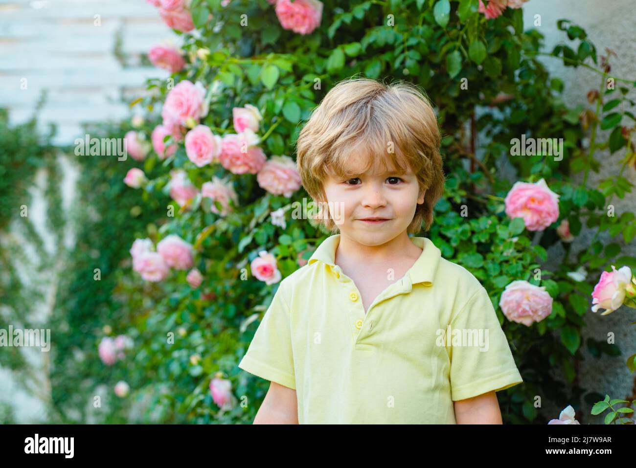 Outdoor small child portrait on the meadow. Little cute kid with ...