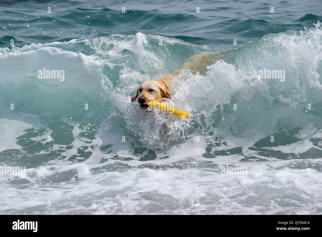 Vault Beach 290422 Stock Photo - Alamy