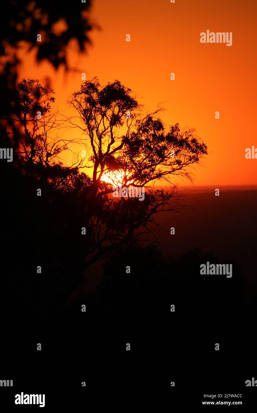 The Golden Land Stock Photo - Alamy