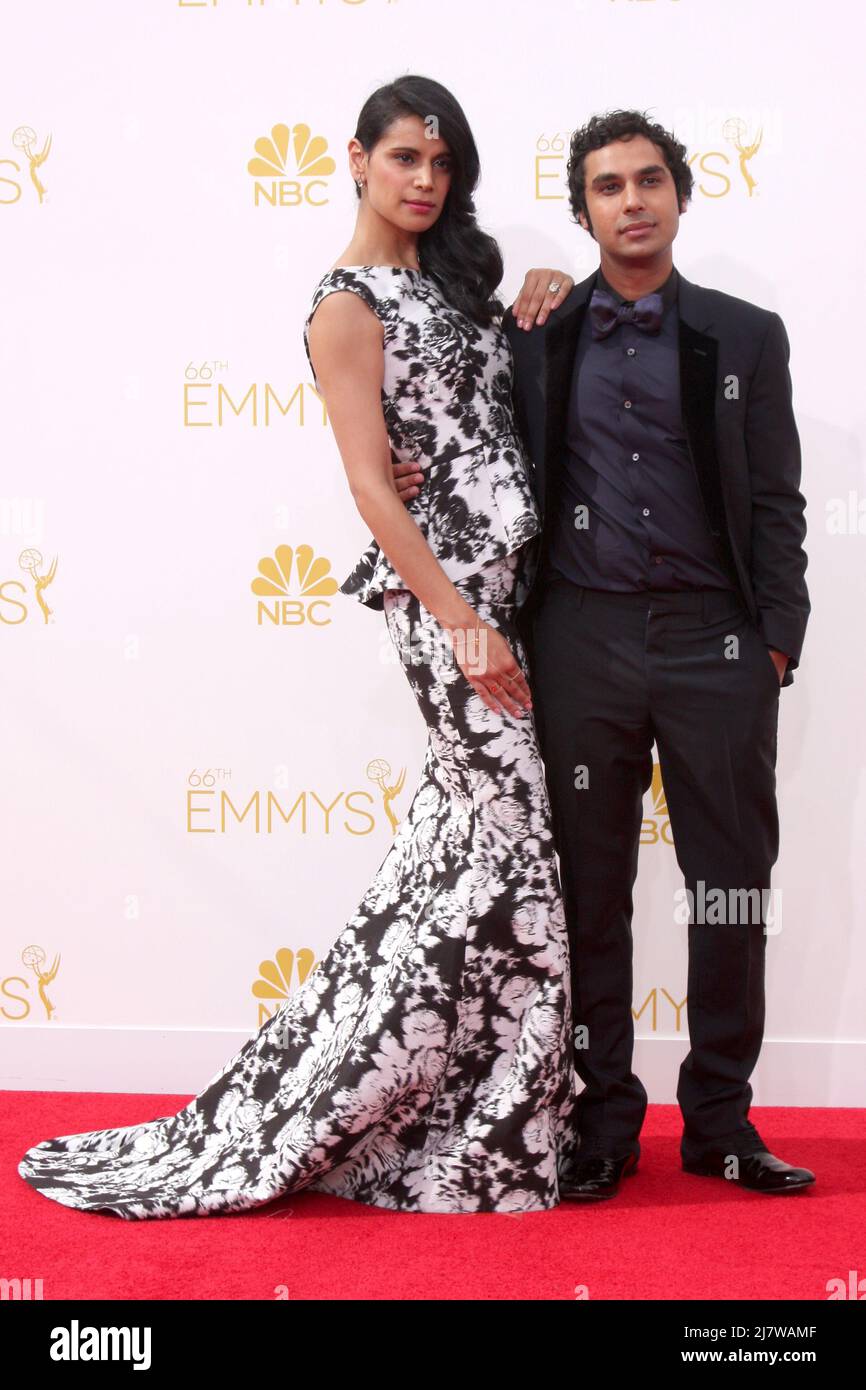 vLOS ANGELES - AUG 25: Kunal Nayyar at the 2014 Primetime Emmy Awards ...