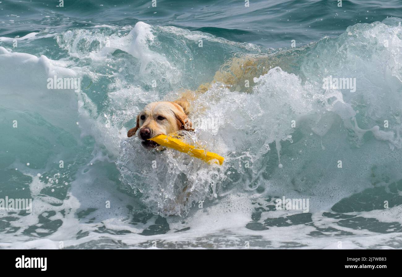 Vault Beach 290422 Stock Photo - Alamy