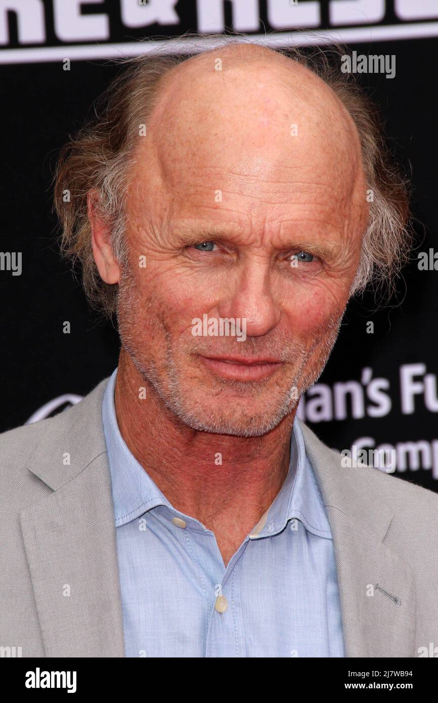 LOS ANGELES - JUL 16: Ed Harris at the "Planes: Fire & Rescue" World ...