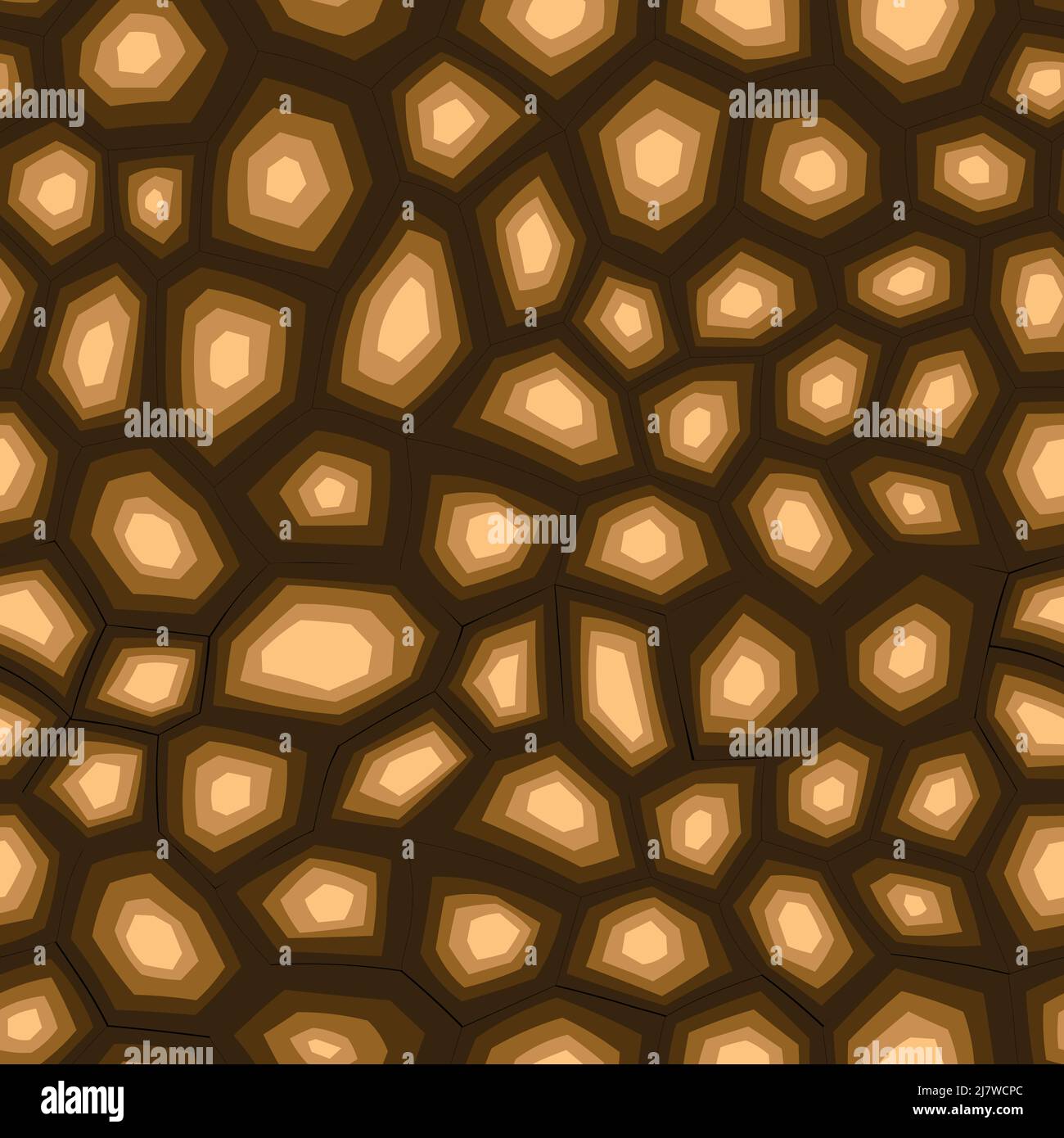 Abstract modern turtle shell seamless pattern. Animals trendy ...