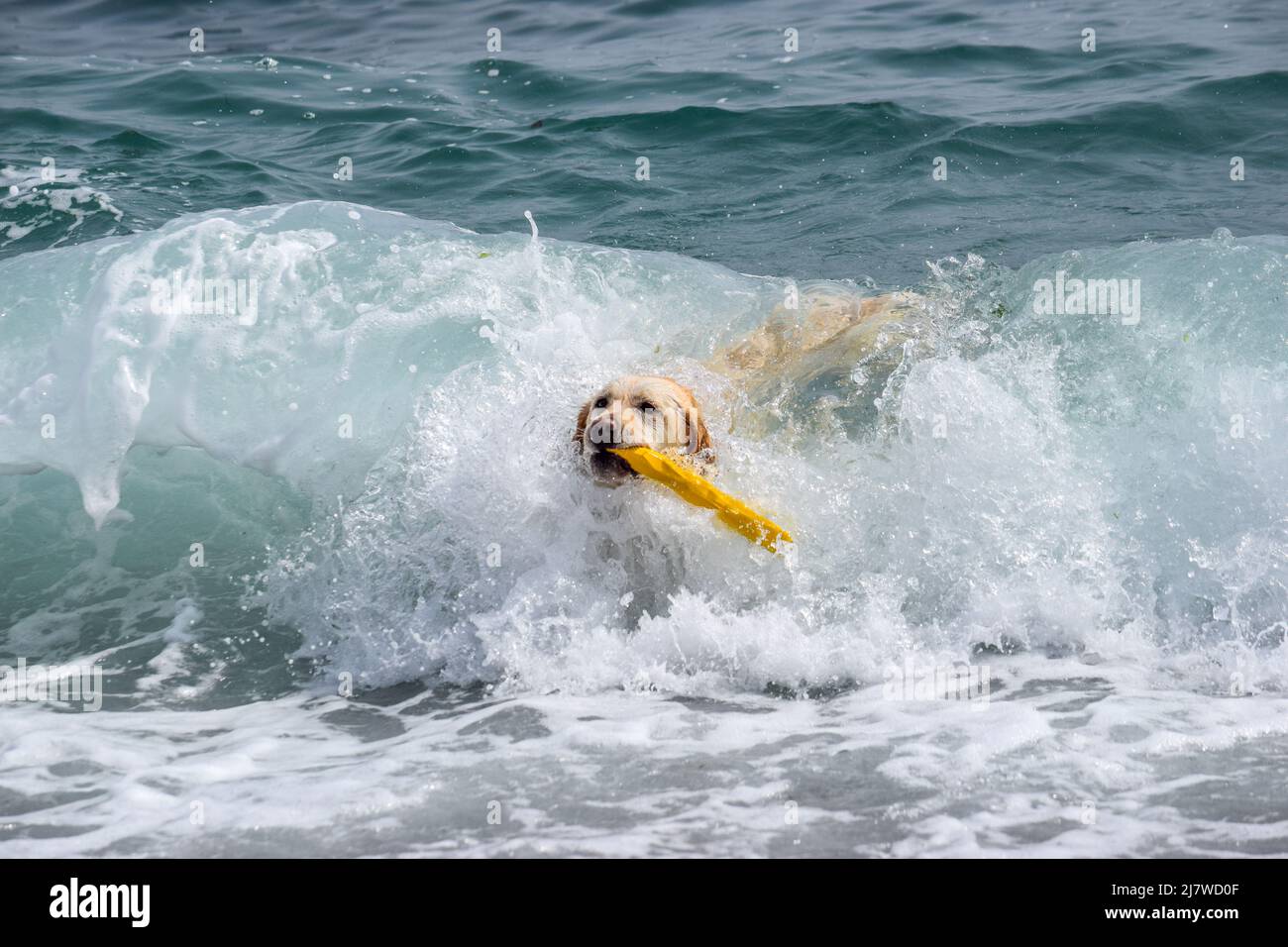 Vault Beach 290422 Stock Photo - Alamy