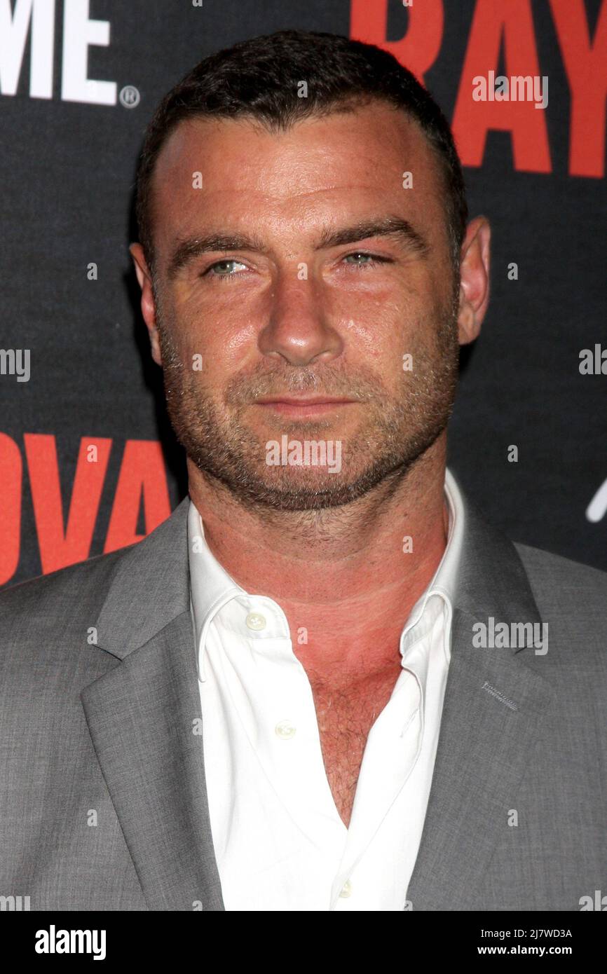 Liev Schreiber Beard