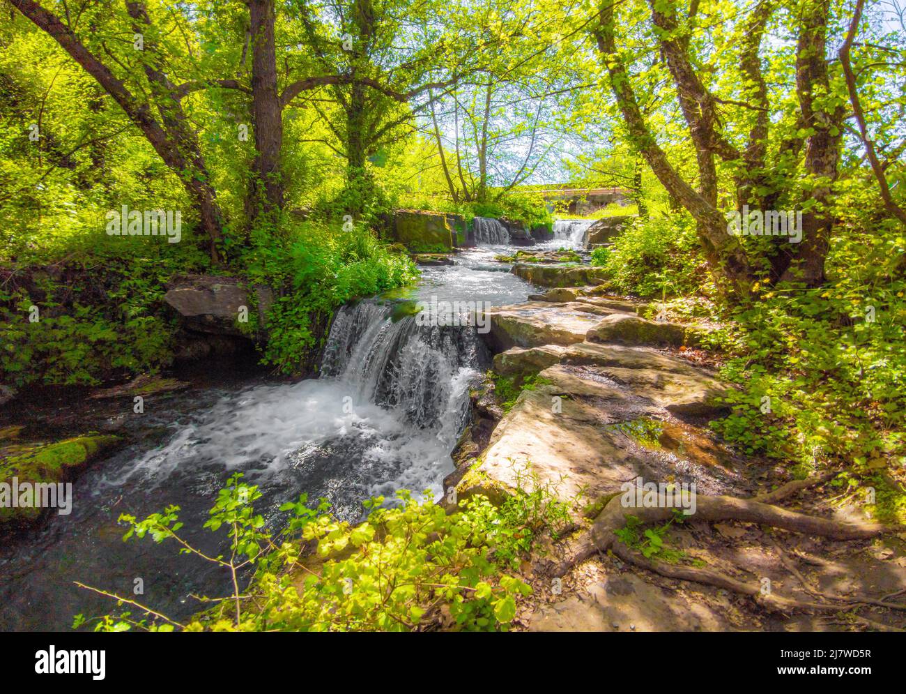Mazzano Romano (Rome, Italy) - Waterfalls of Monte Gelato in the ...