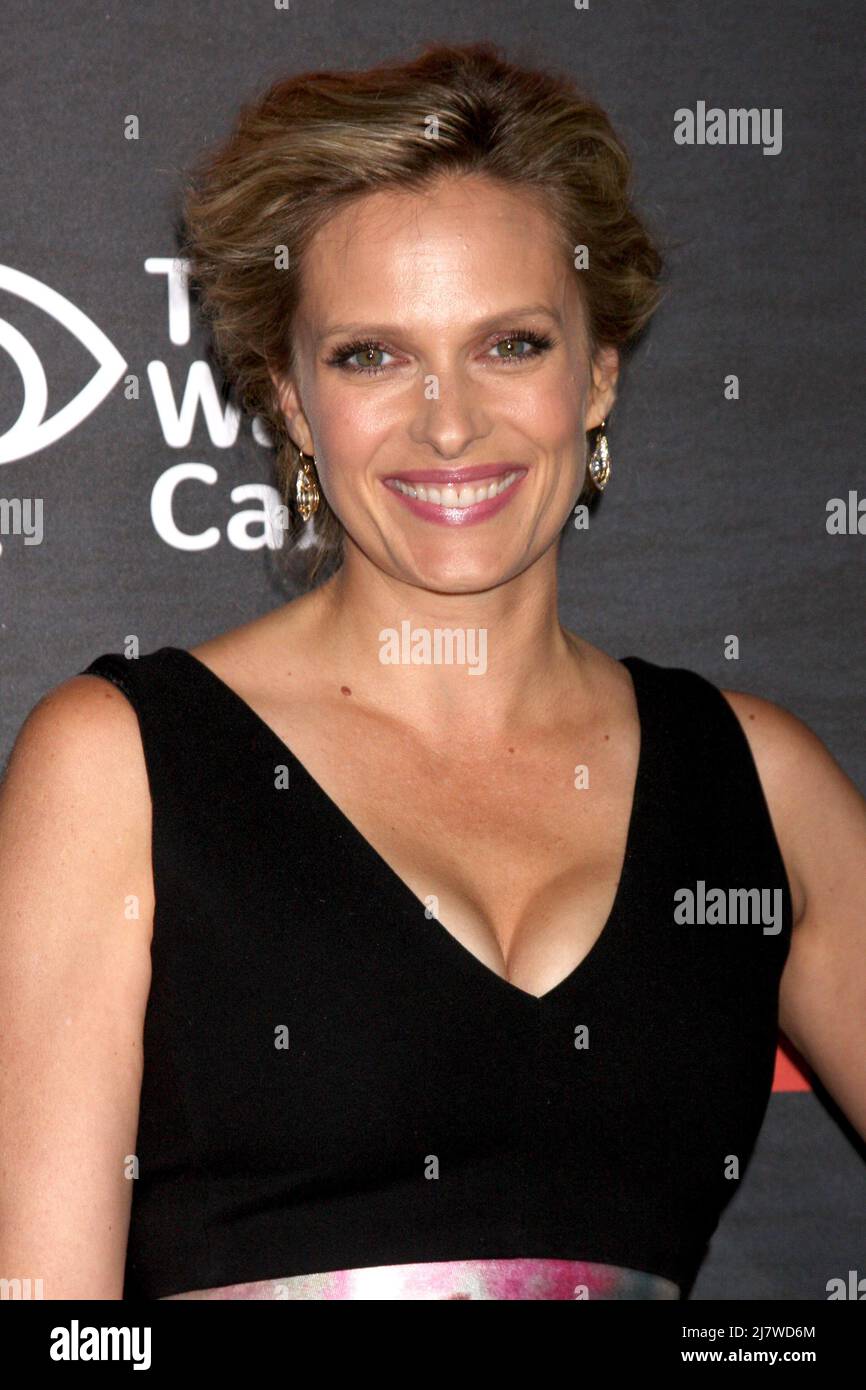 LOS ANGELES - JUL 9: Vinessa Shaw at the "Ray Donovan" Season 2 ...