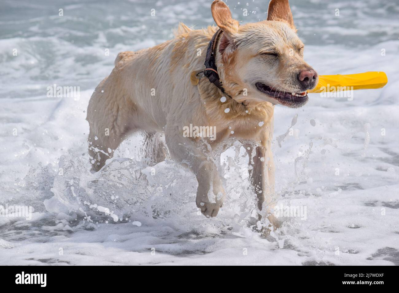 Vault Beach 290422 Stock Photo - Alamy