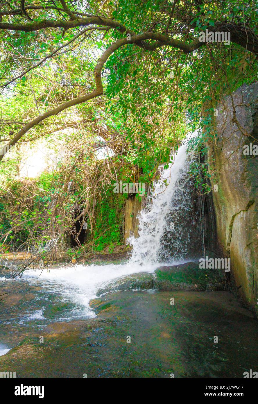 Mazzano Romano (Rome, Italy) - Waterfalls of Monte Gelato in the ...