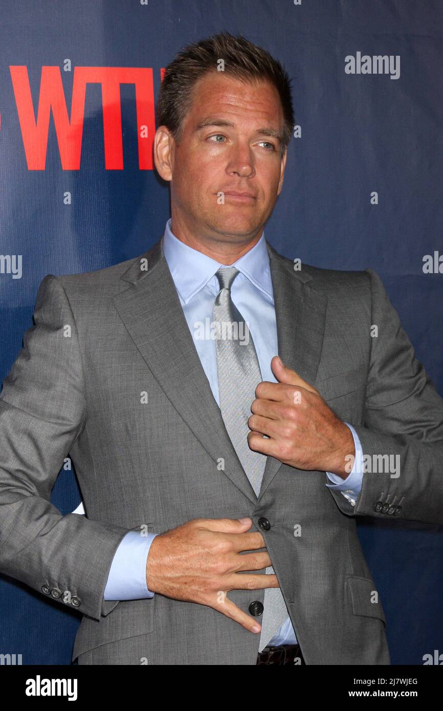 LOS ANGELES - JUL 17: Michael Weatherly at the CBS TCA July 2014 Party ...