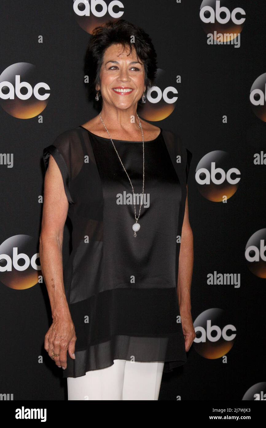 LOS ANGELES - JUL 15: Terri Hoyos at the ABC July 2014 TCA at Beverly ...
