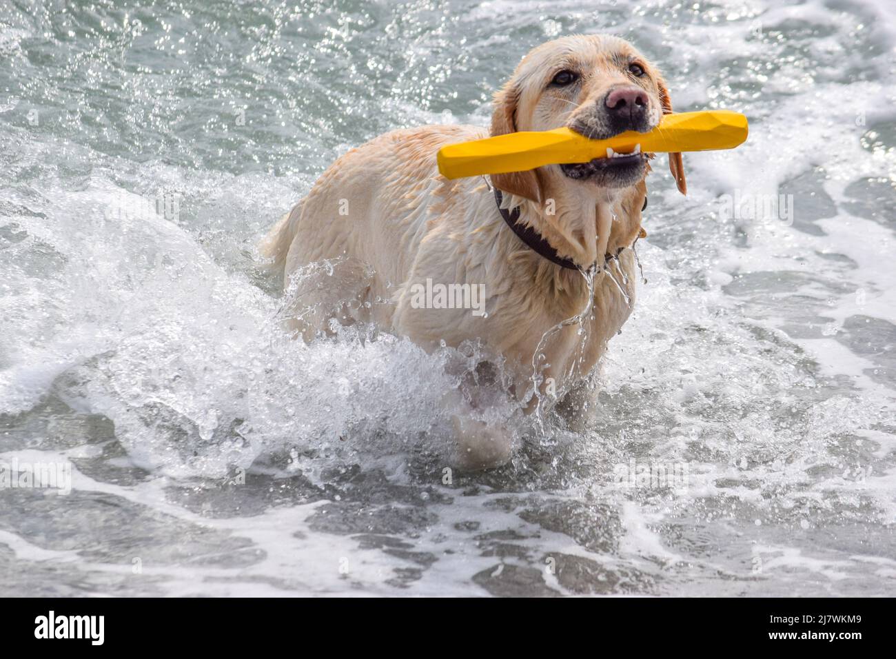 Vault Beach 290422 Stock Photo - Alamy