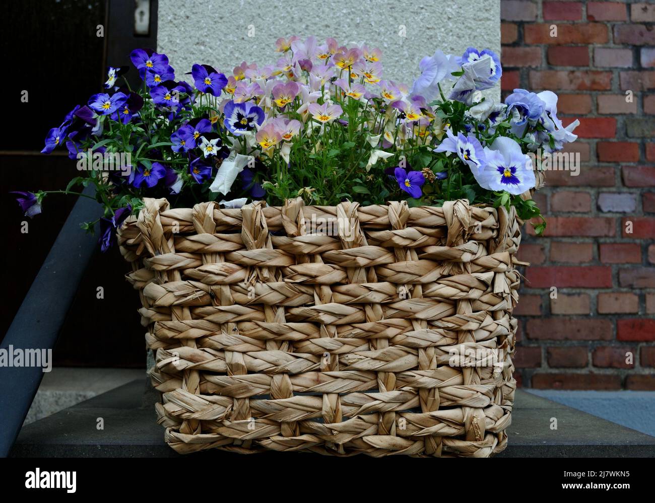 Nikon coolpix d950 hi-res stock photography and images - Alamy