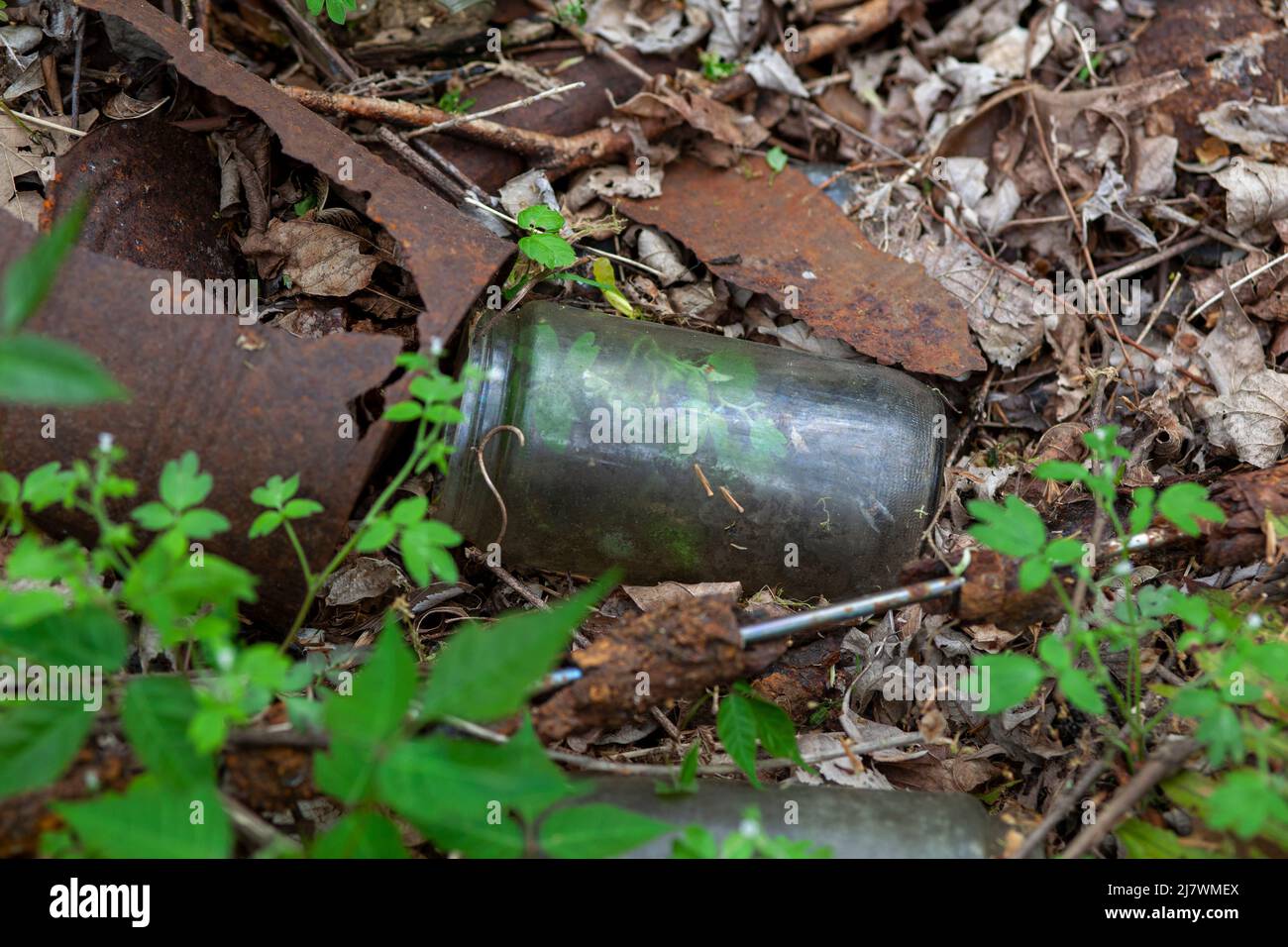 Rusty old tin cans and glass bottles decaying in at dump site in the ...
