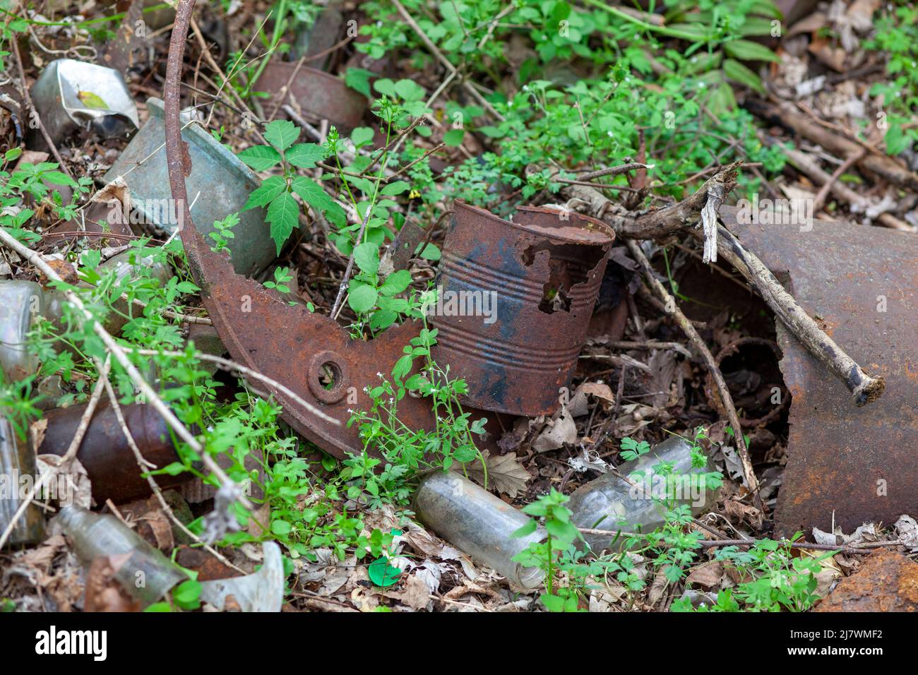 Rusty old tin cans and glass bottles decaying in at dump site in the ...