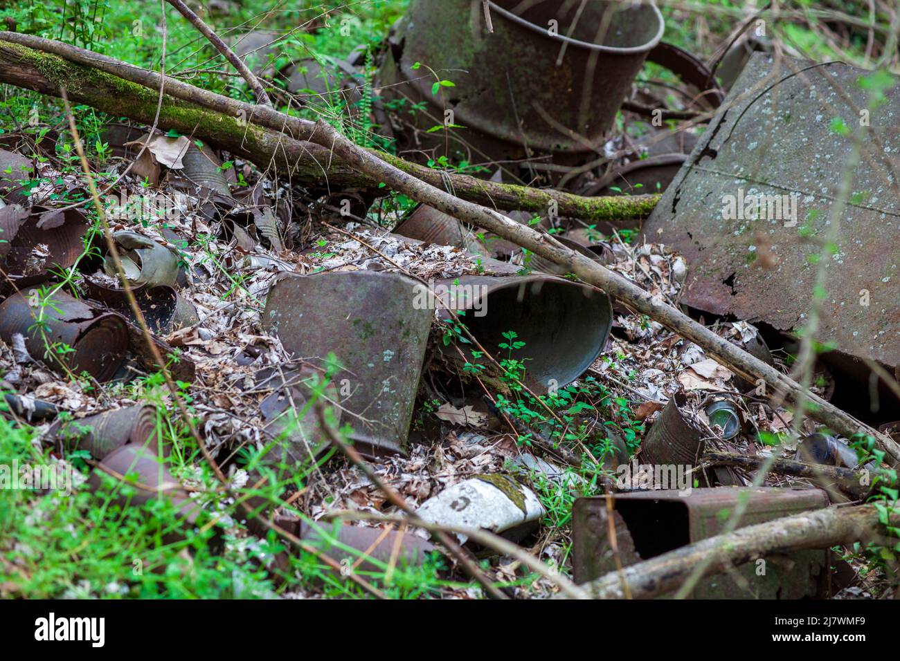 Rusty old tin cans and glass bottles decaying in at dump site in the ...