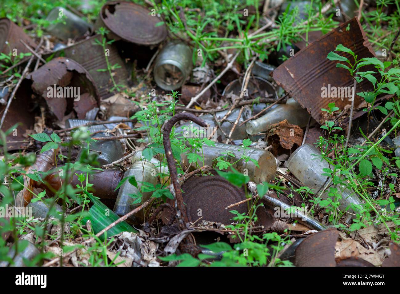 Rusty old tin cans and glass bottles decaying in at dump site in the ...