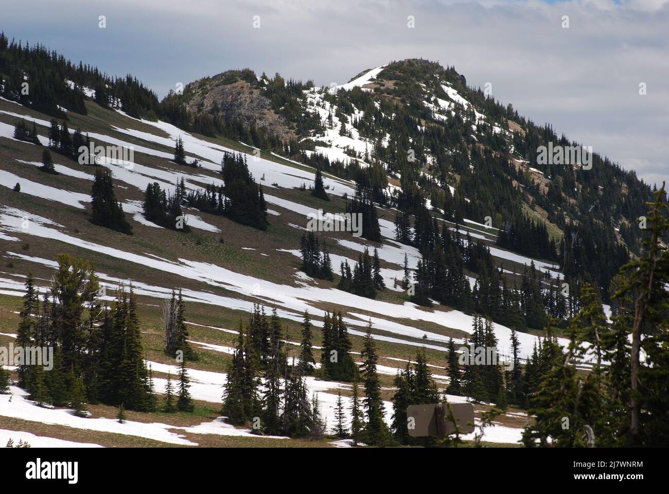 Mt. Rainier, Washington State Stock Photo - Alamy
