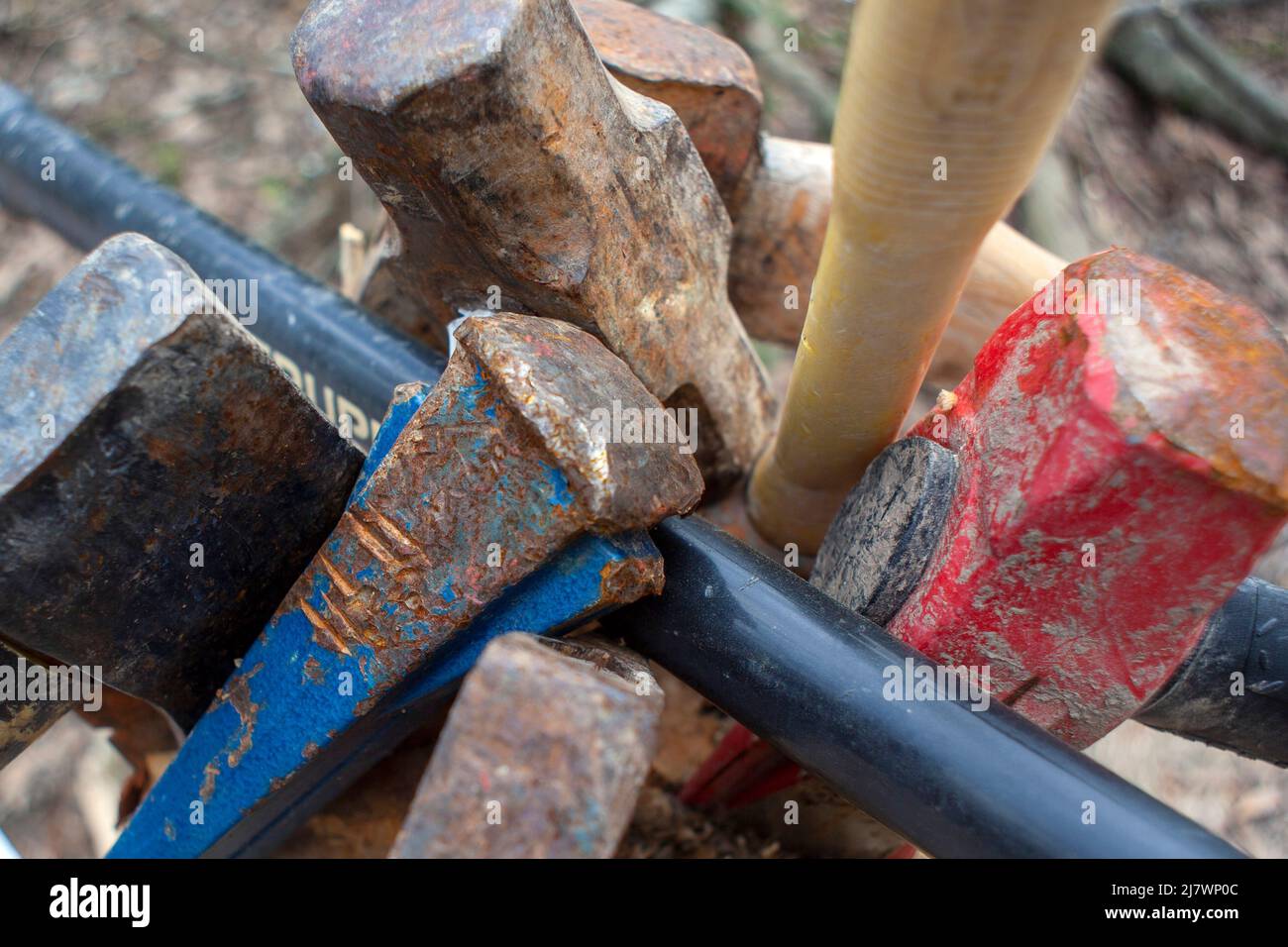 Axe and hammer heads in a tree stump Stock Photo - Alamy