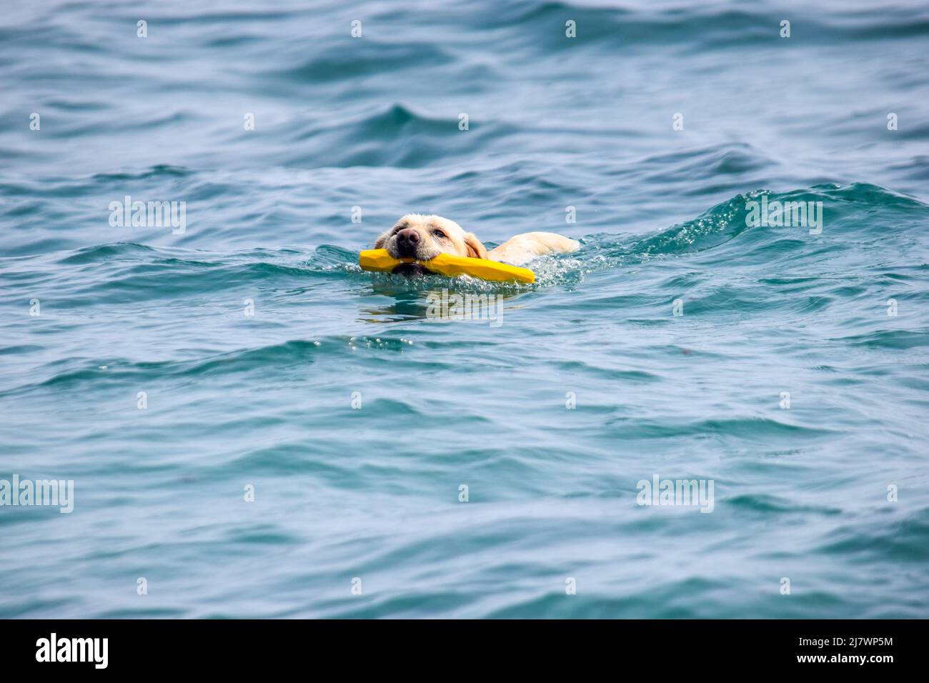 Vault Beach 290422 Stock Photo - Alamy
