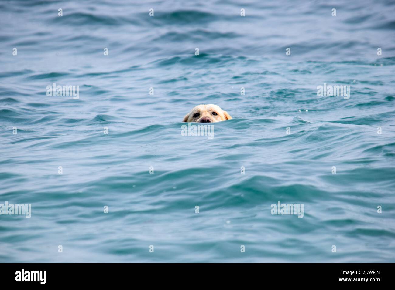 Vault Beach 290422 Stock Photo - Alamy