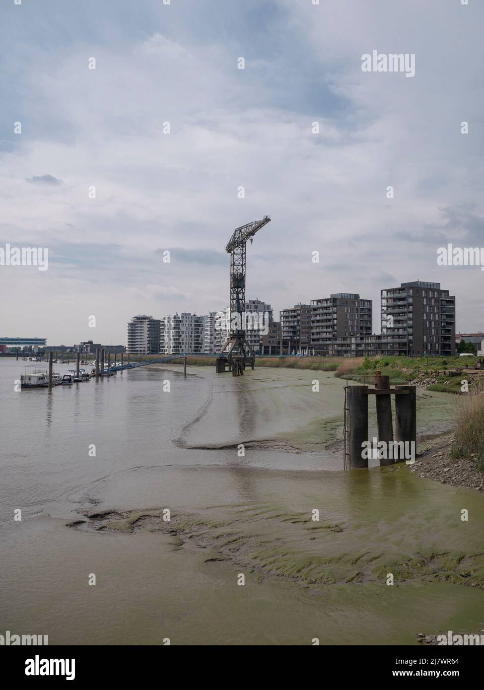 Temse, Belgium, May 1, 2022, Landscape photo at the river Scheldt in ...