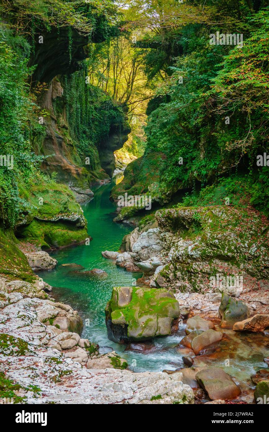 Clean brook flowing through lush terrain Stock Photo - Alamy