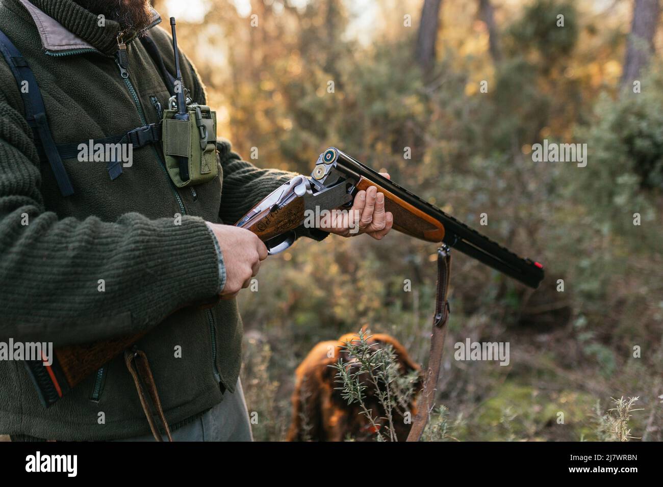 Hunter opening his hunting shotgun in wild Stock Photo - Alamy