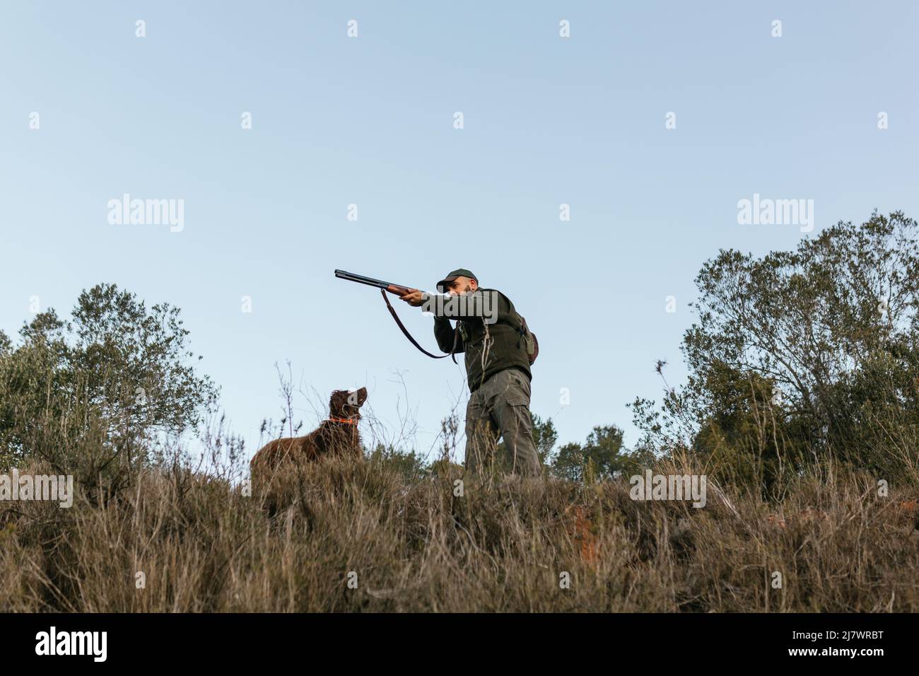 Hunter aiming with his gun in nature Stock Photo - Alamy