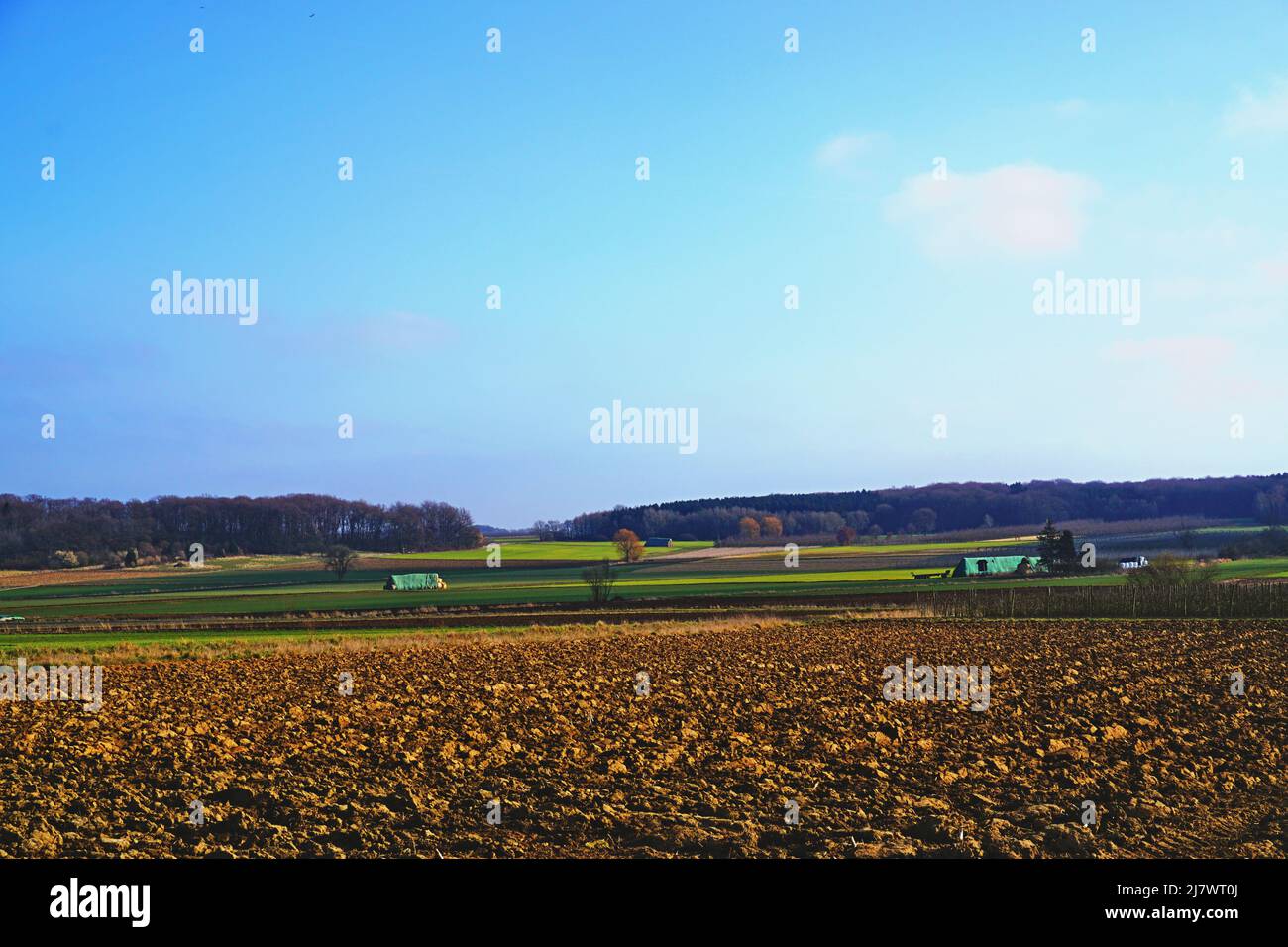Farm wheat germany hi-res stock photography and images - Alamy