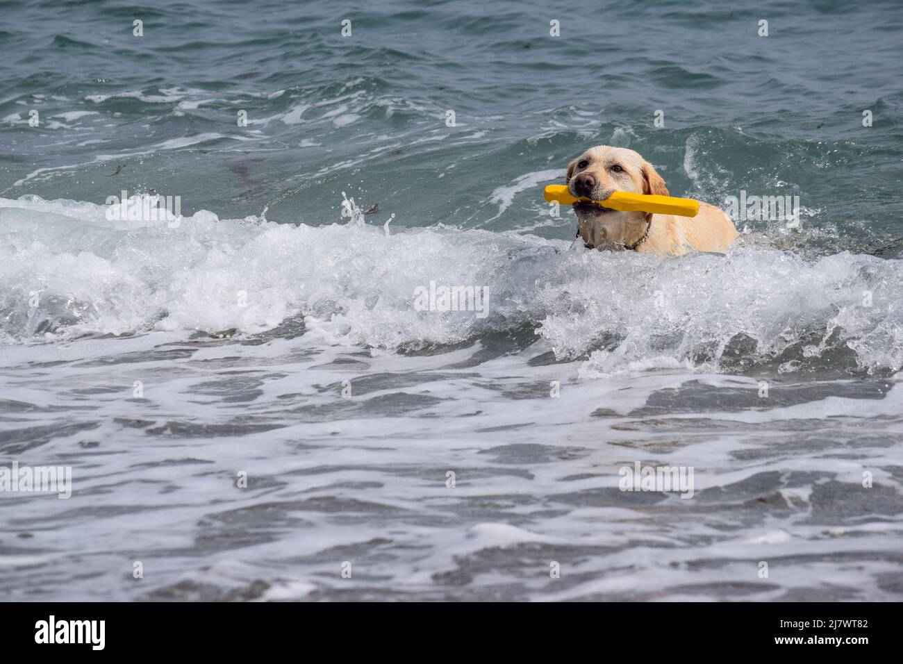 Vault Beach 290422 Stock Photo - Alamy