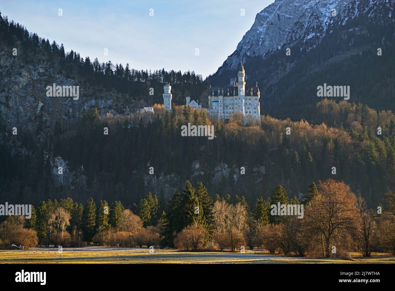 German fairy tale view: the Neuschwanstein Castle surrounded by forest ...