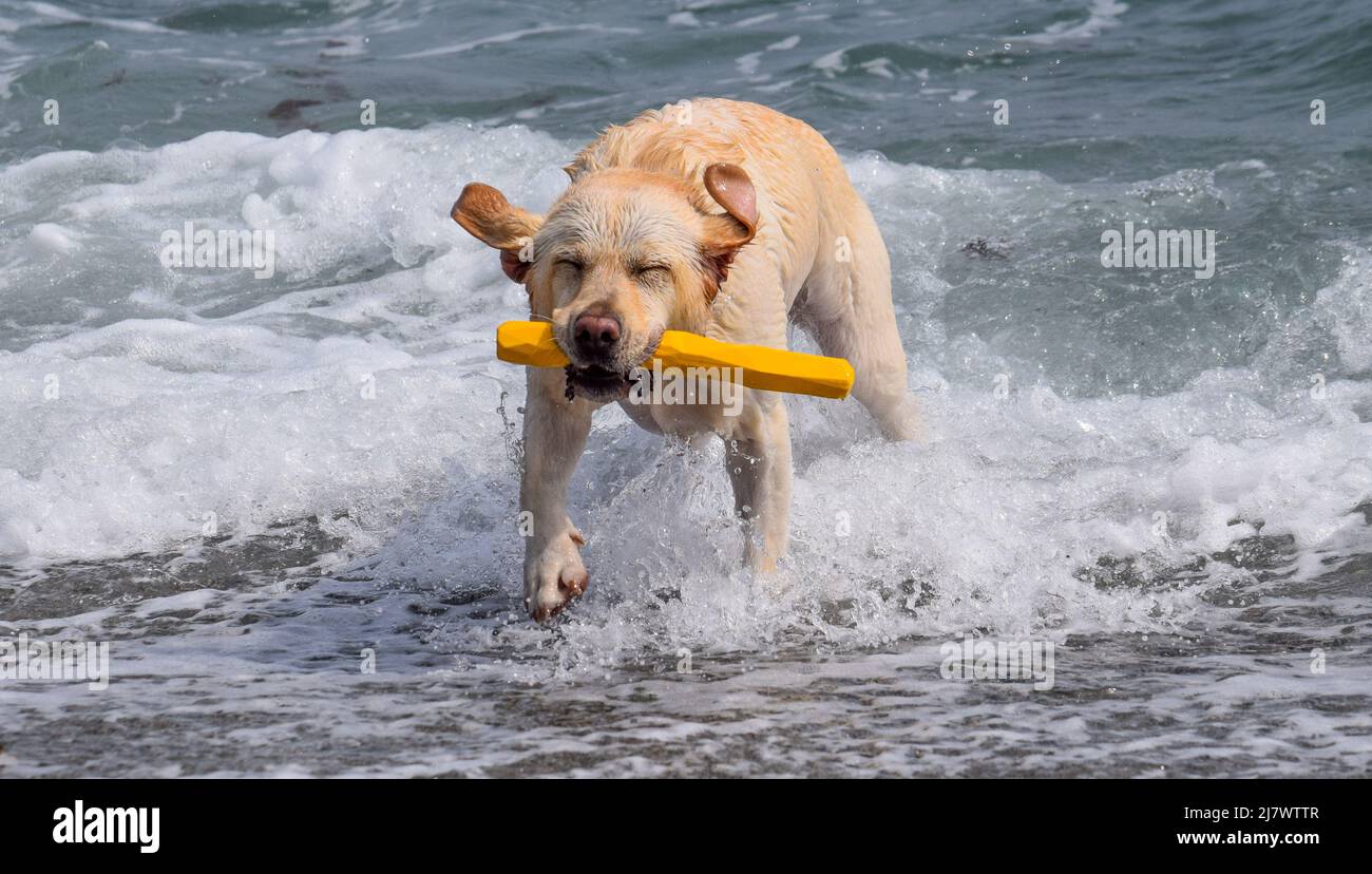 Vault Beach 290422 Stock Photo - Alamy