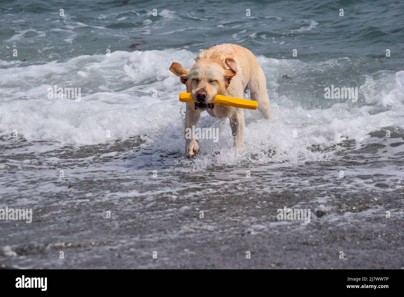 Vault Beach 290422 Stock Photo - Alamy