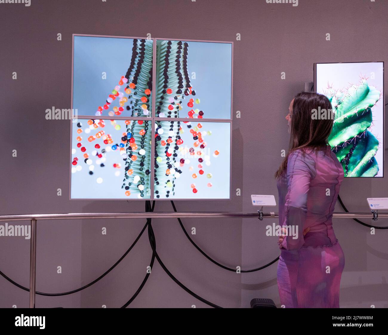 Design Museum, London, UK. 11 May 2022. Weird Sensation Feels Good: The ...